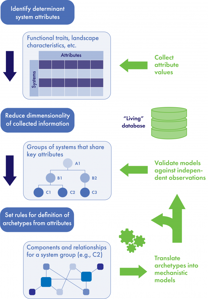 System Archetypes for Understanding and Solving Sustainability Problems | SESYNC